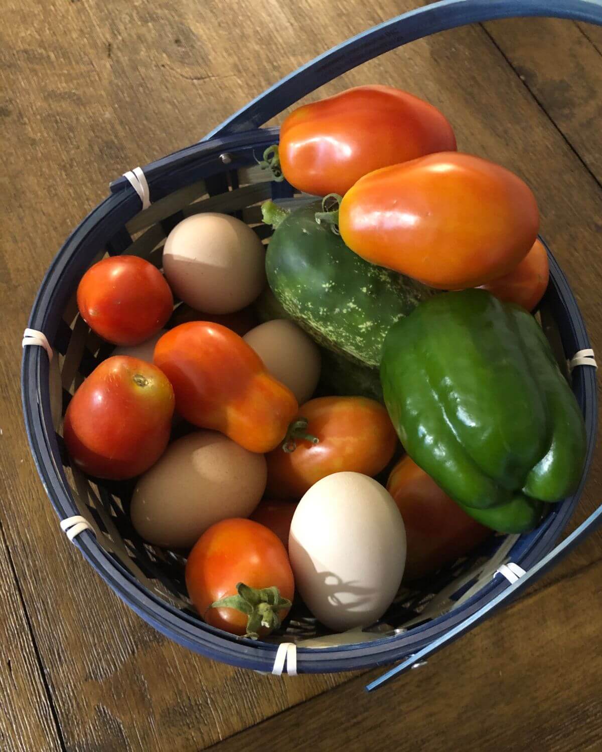 Top 10 Easiest Vegetables: A Beginners Guide - Grace Nourish Grow