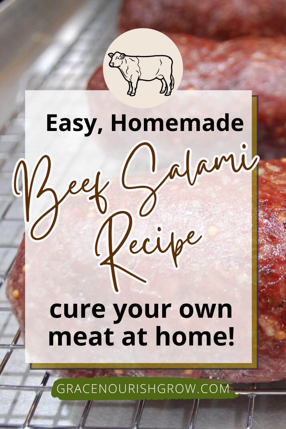 Homemade Beef Salami Recipe: Customizable Flavor and So Simple to Make ...