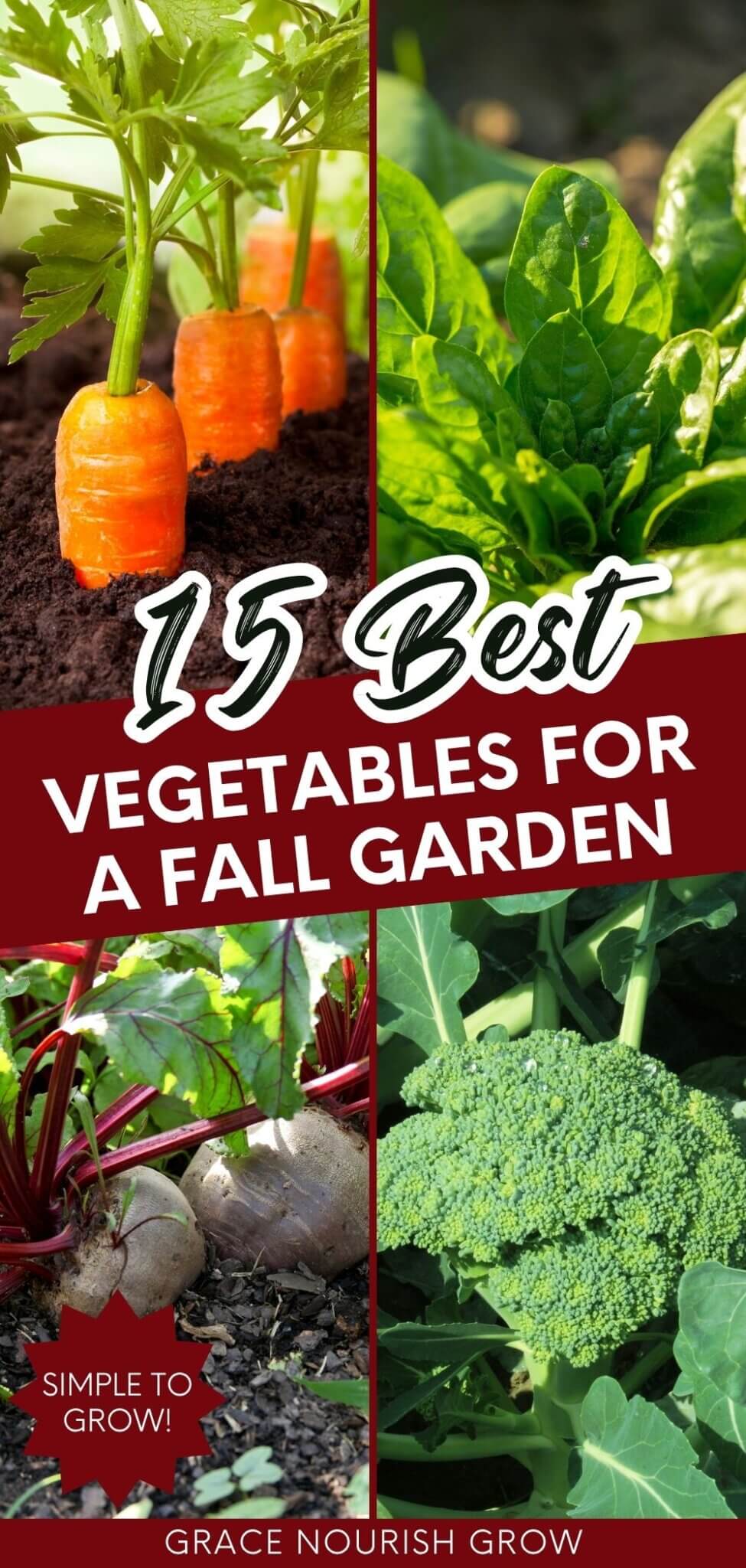 15 Vegetables to Plant for a Fall Garden in the Midwest - Grace Nourish ...